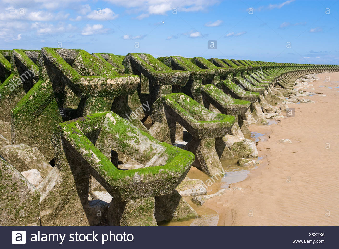 Concrete Groin High Resolution Stock Photography and Images - Alamy