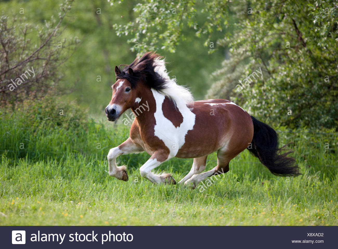Gallo Family High Resolution Stock Photography and Images - Alamy