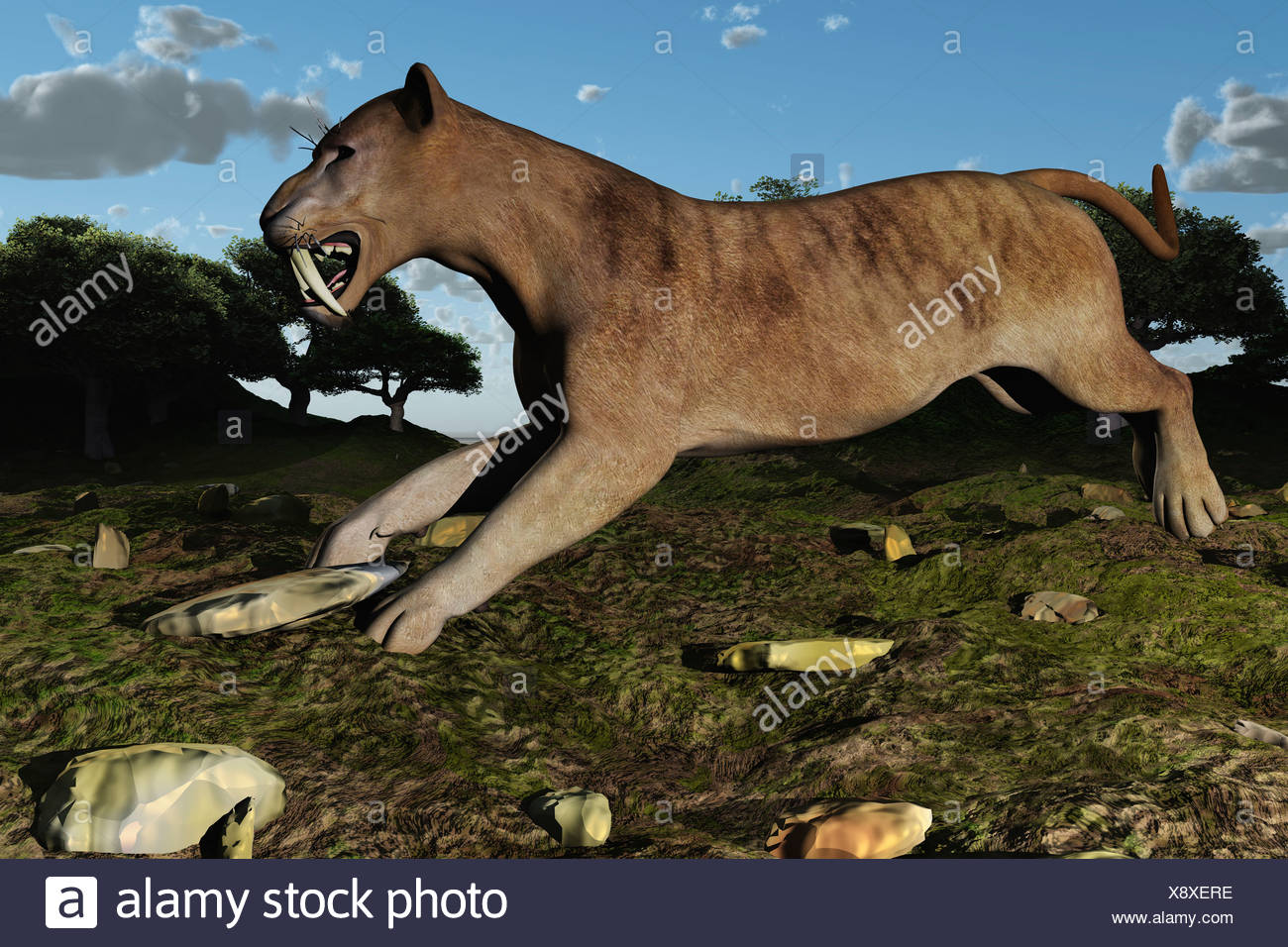 Sabertooth High Resolution Stock Photography and Images - Alamy