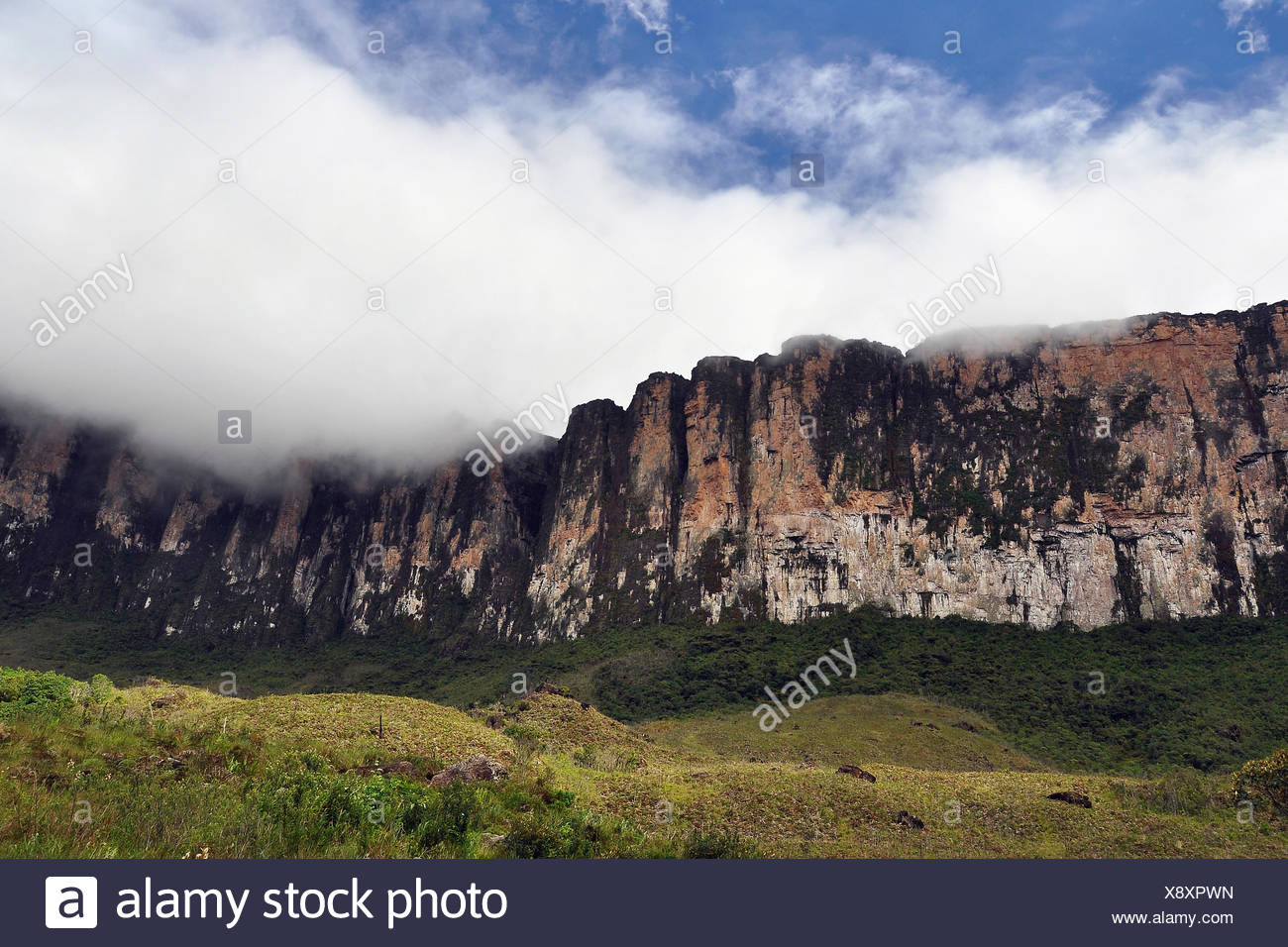 Roraima Mountain High Resolution Stock Photography and Images - Alamy