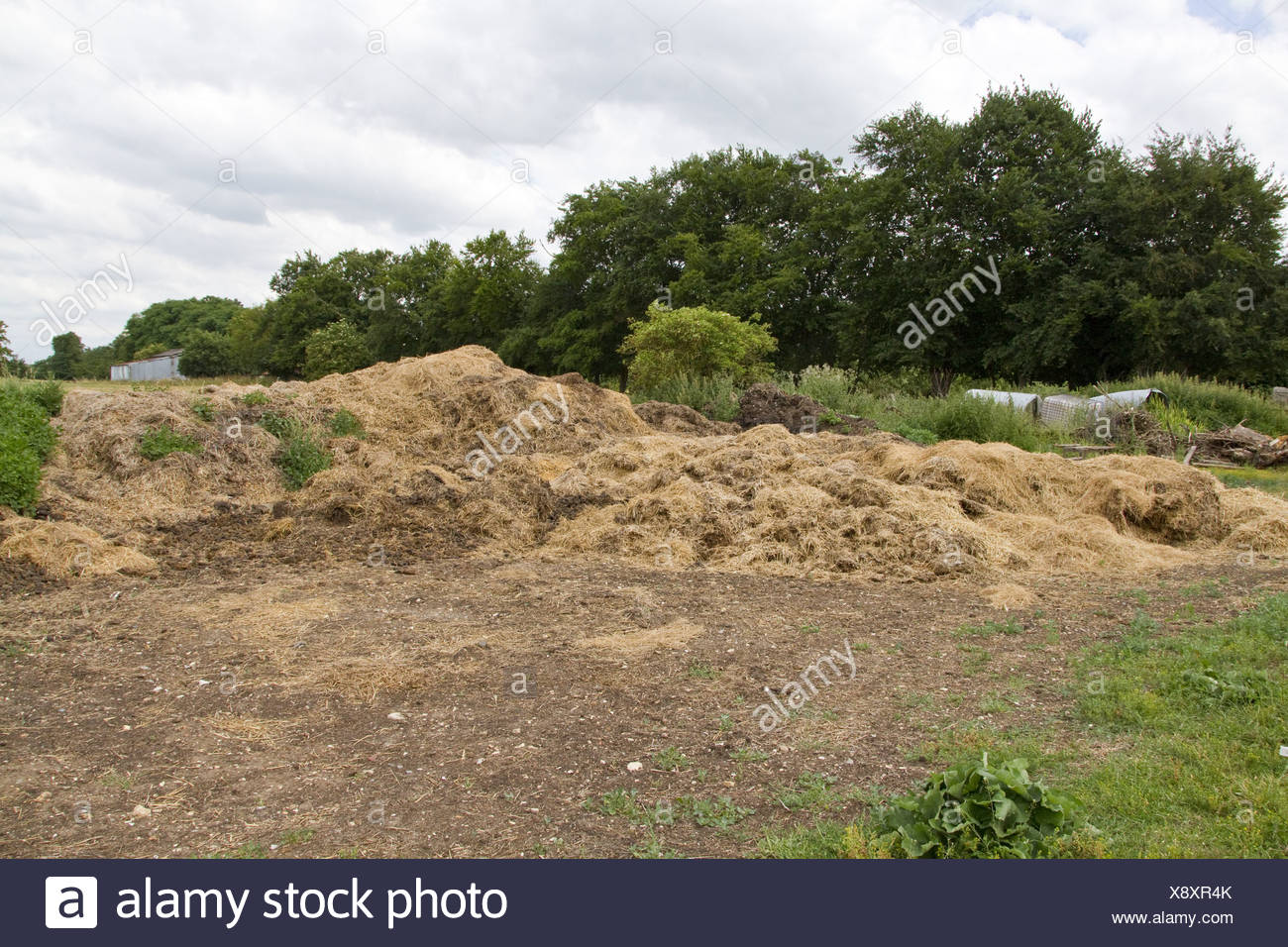 Compost High Resolution Stock Photography and Images - Alamy