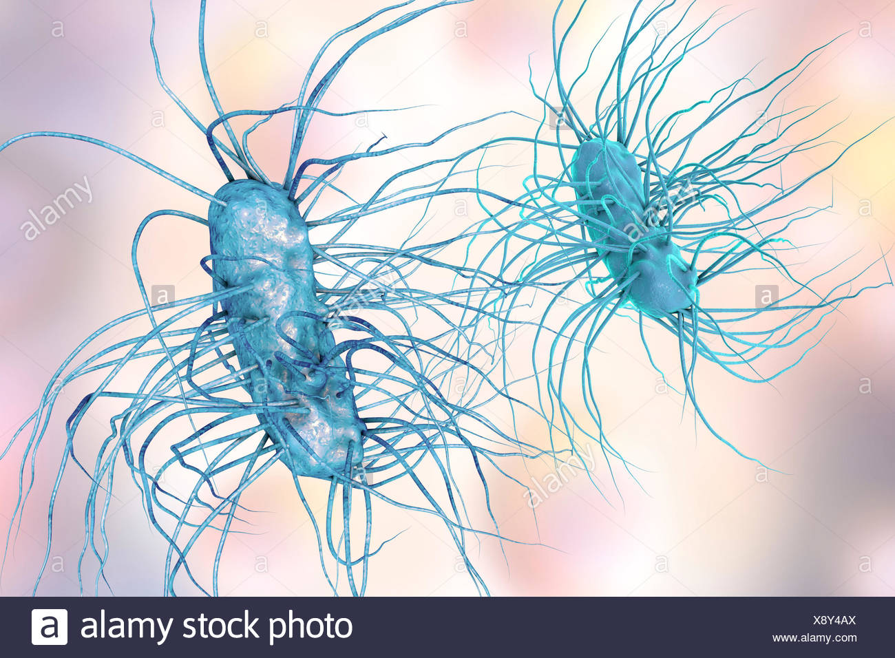 E Coli With Flagella Stock Photos & E Coli With Flagella Stock Images ...