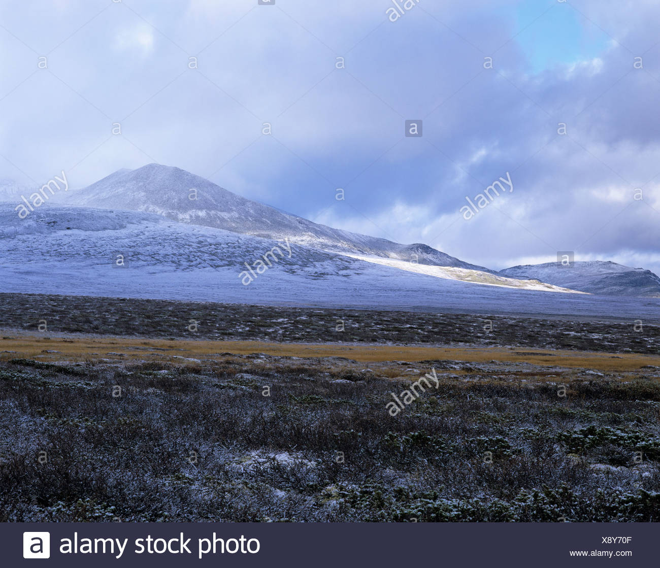 The First Snow High Resolution Stock Photography and Images - Alamy