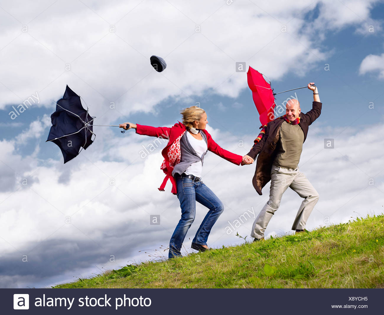 Broken By The Wind High Resolution Stock Photography and Images - Alamy