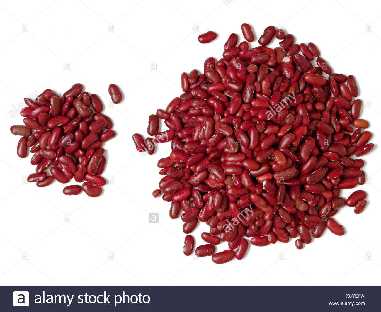 Counting Beans Stock Photos & Counting Beans Stock Images - Alamy