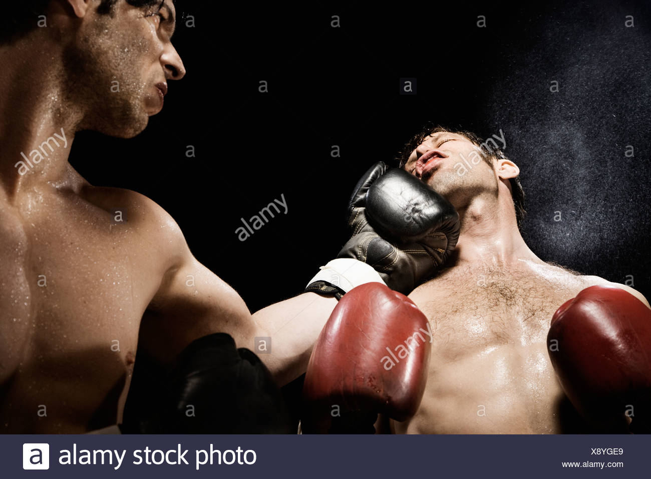 Boxer Match Two High Resolution Stock Photography and Images - Alamy