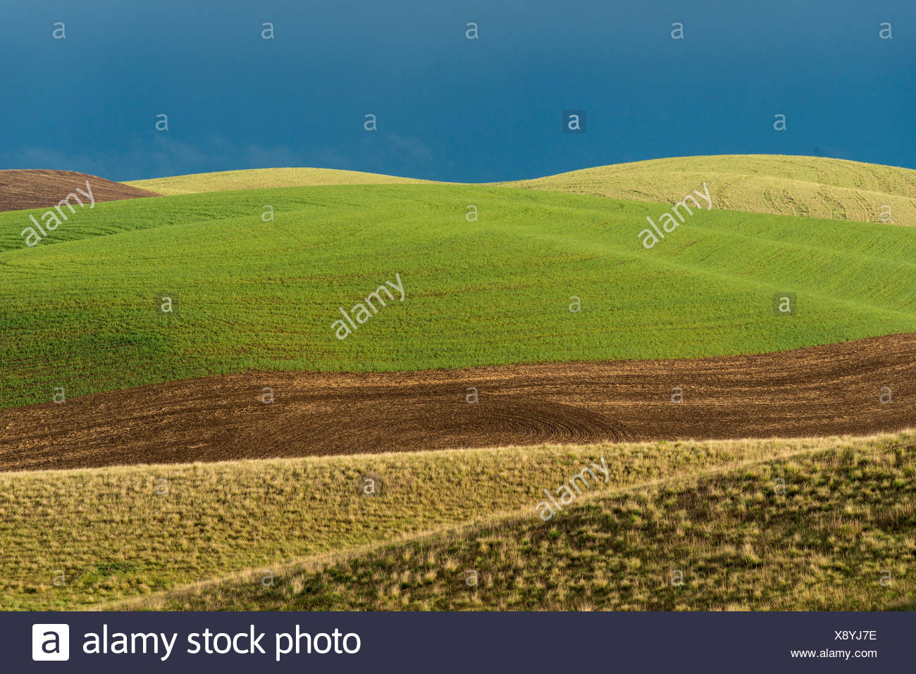 Loess Soil Stock Photos & Loess Soil Stock Images - Alamy