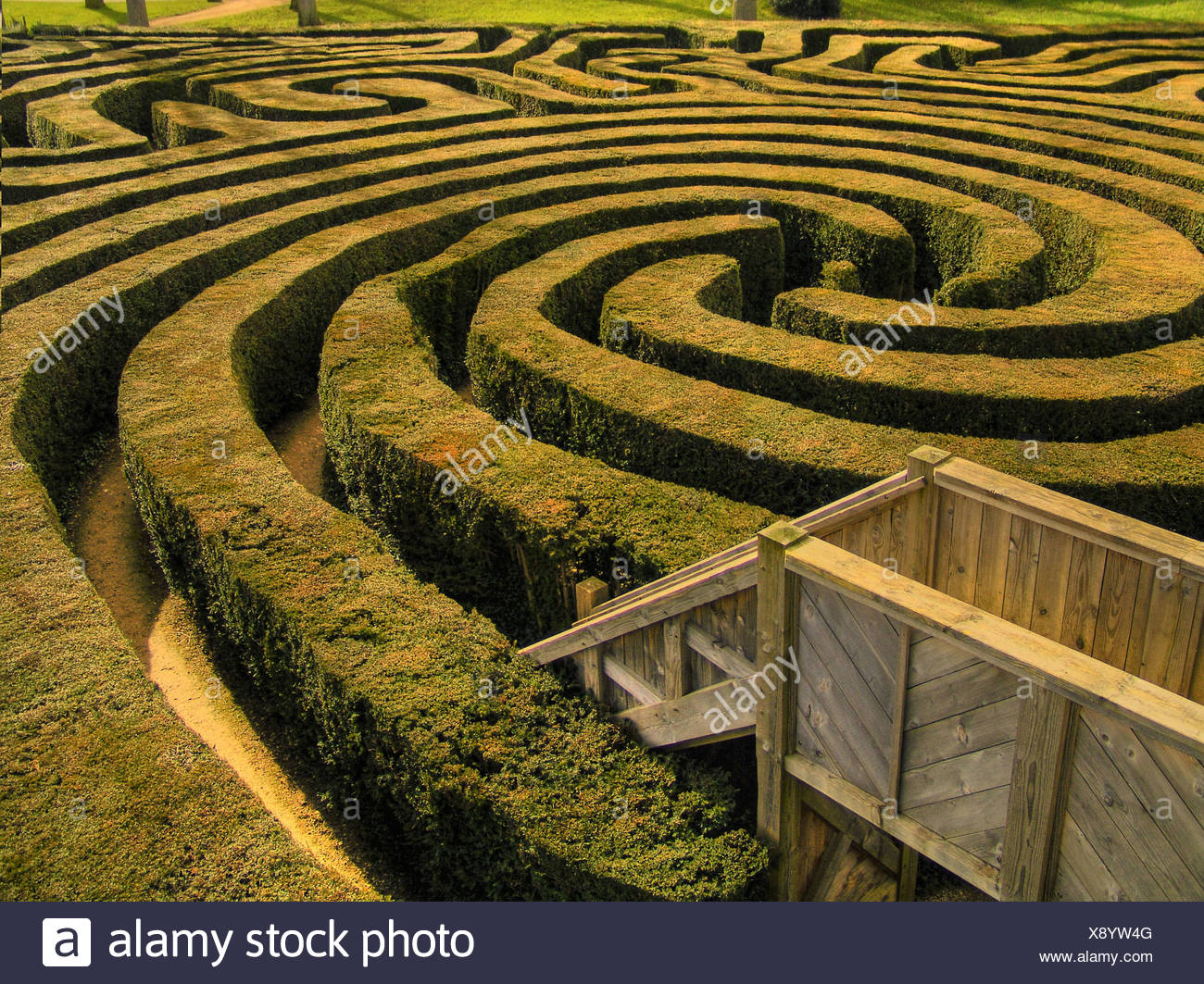 Hedge Maze Above High Resolution Stock Photography and Images - Alamy