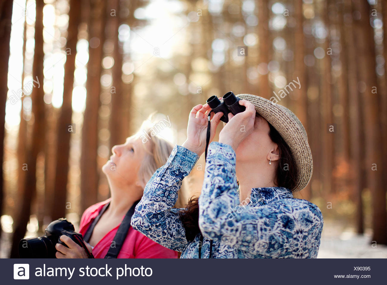 Women Watching In High Resolution Stock Photography and Images - Alamy