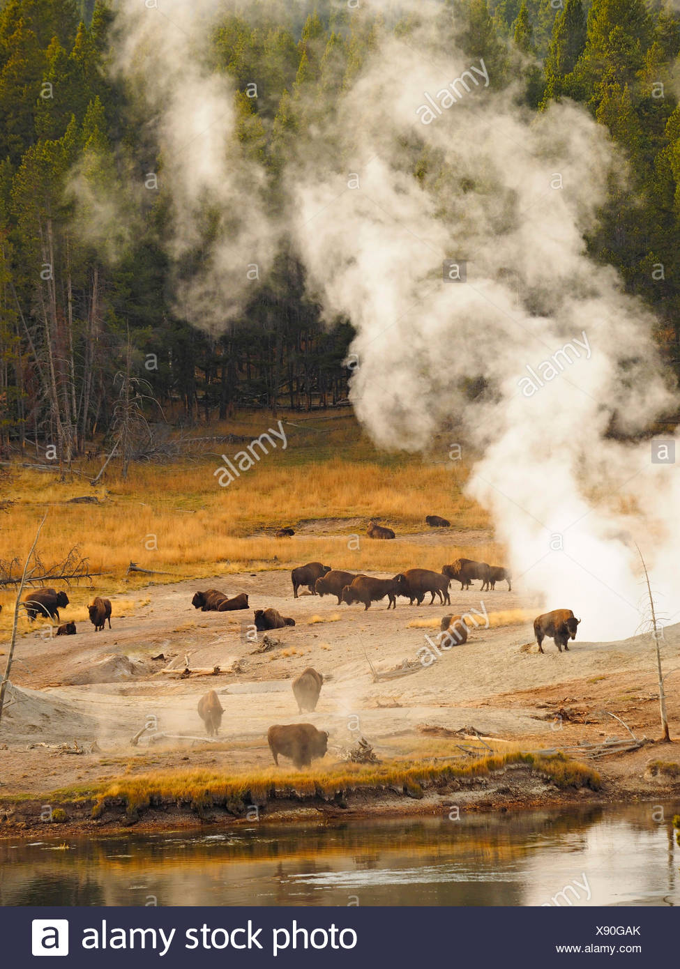 Smoking Hot High Resolution Stock Photography and Images - Alamy