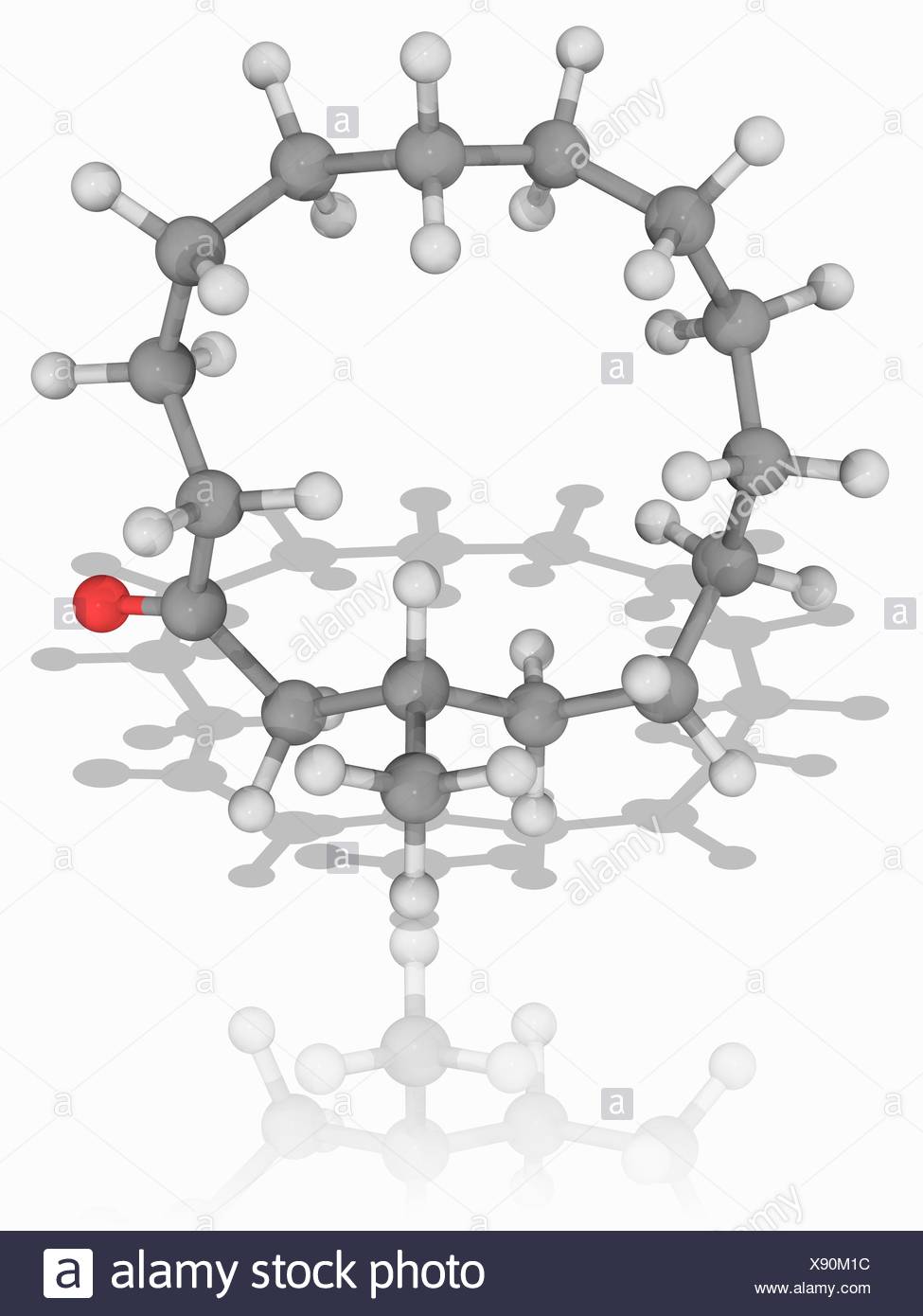 Primary Cause High Resolution Stock Photography and Images - Alamy