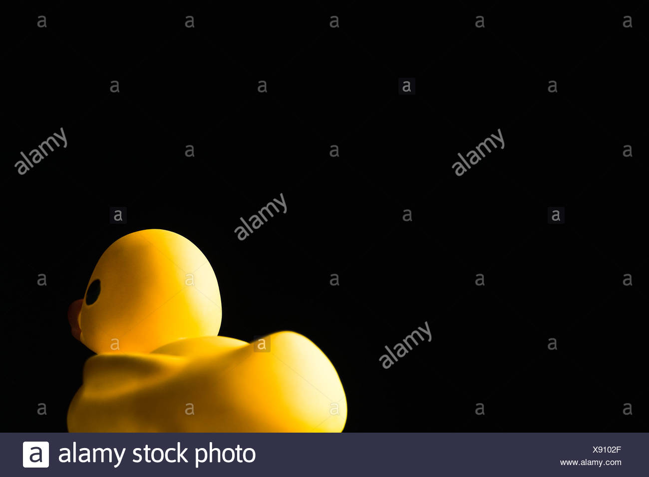Rubber Duckie High Resolution Stock Photography and Images - Alamy