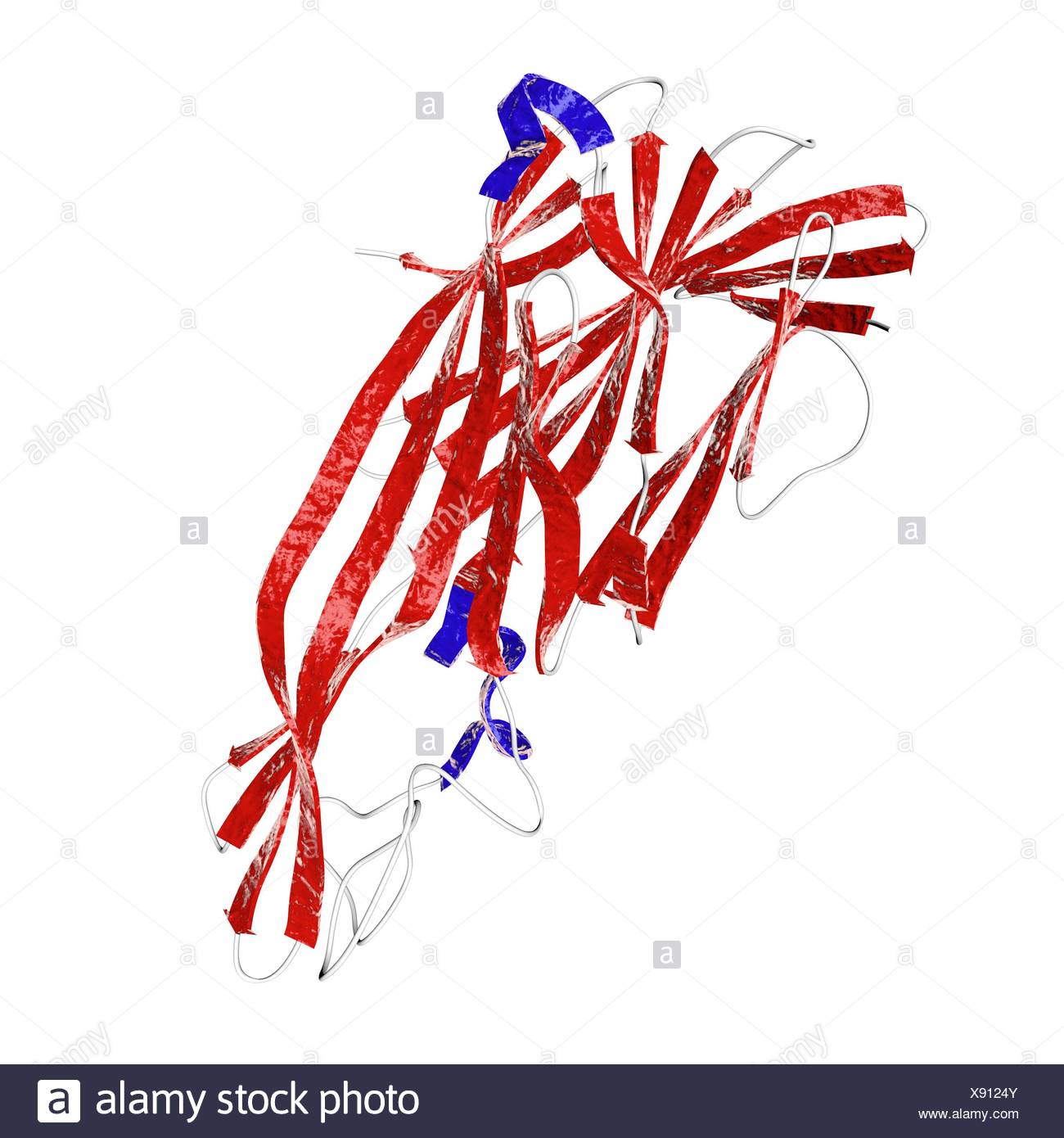 Clostridium Delta Toxin High Resolution Stock Photography and Images ...