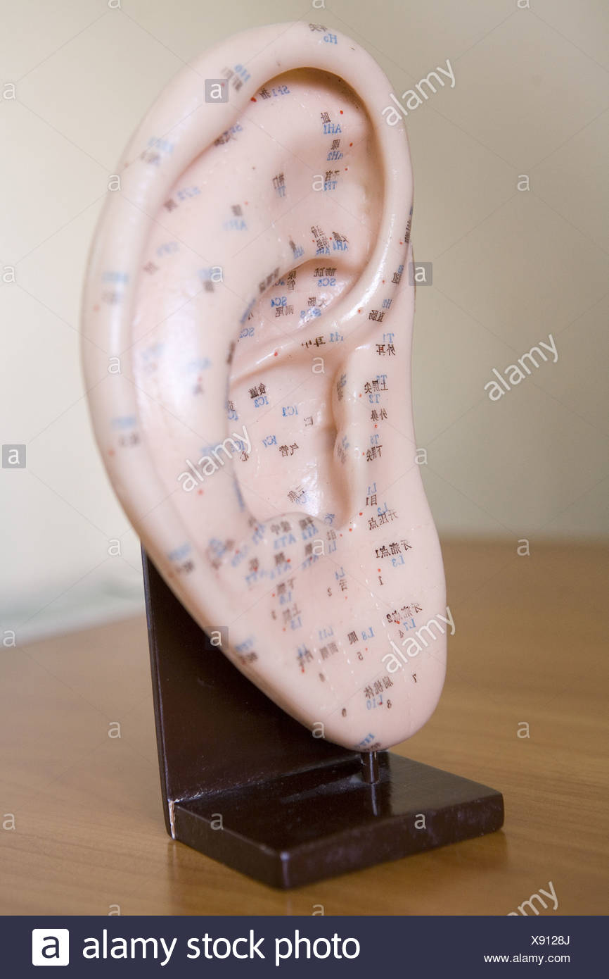 Acupressure Ear High Resolution Stock Photography and Images - Alamy