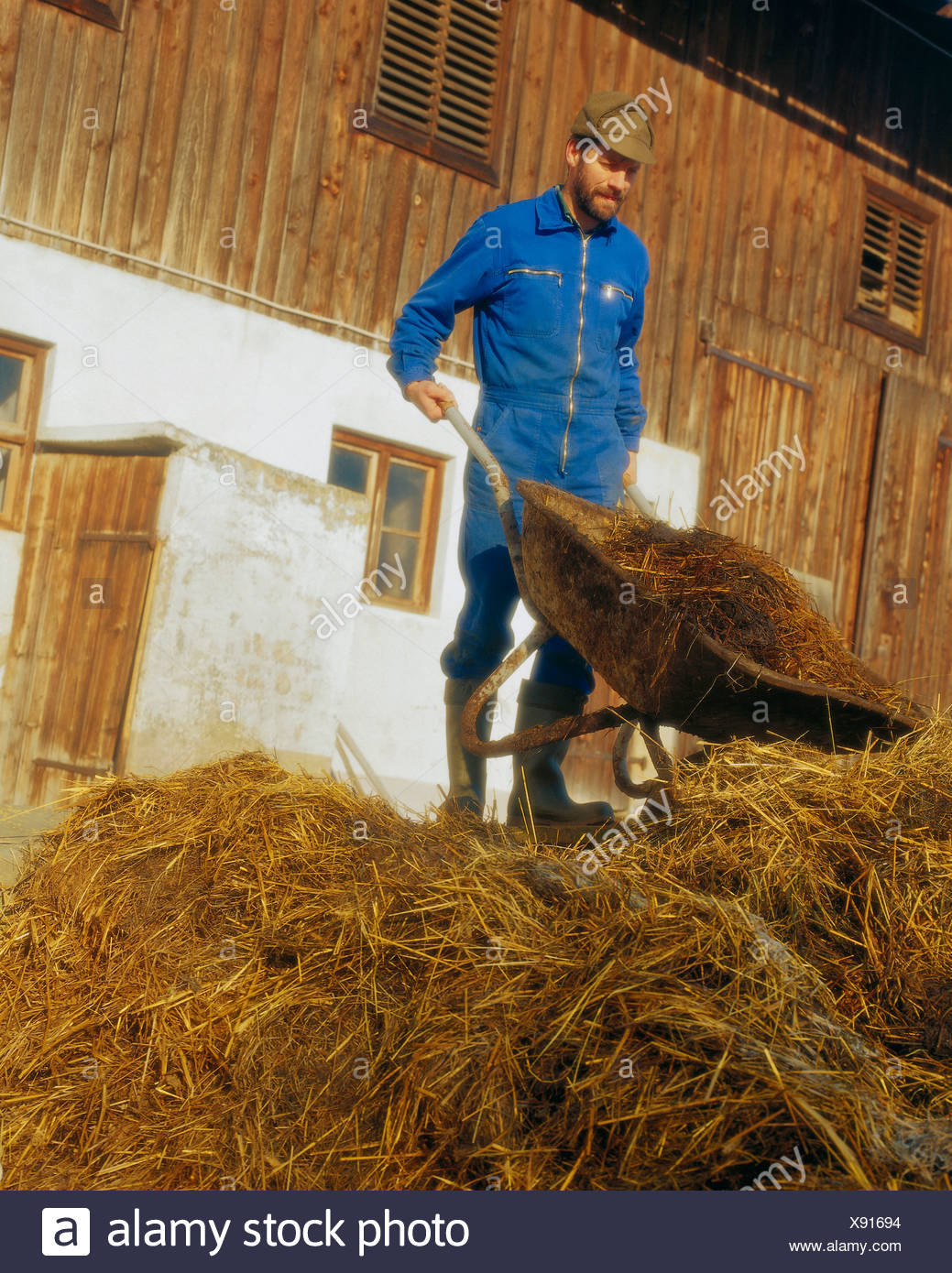 Emptying Wheelbarrow High Resolution Stock Photography and Images - Alamy