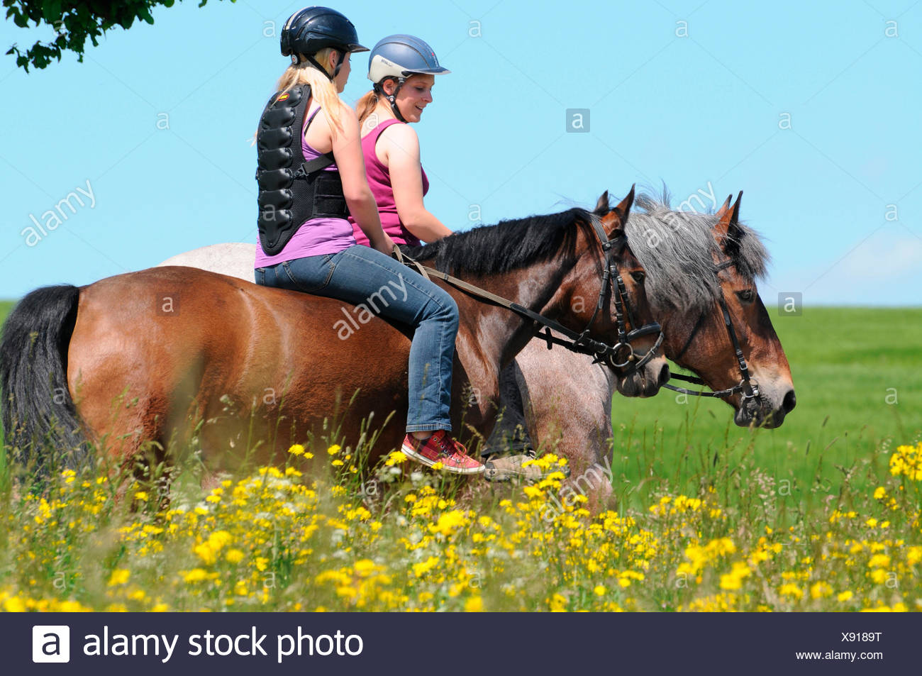 Bareback Riders High Resolution Stock Photography and Images - Alamy