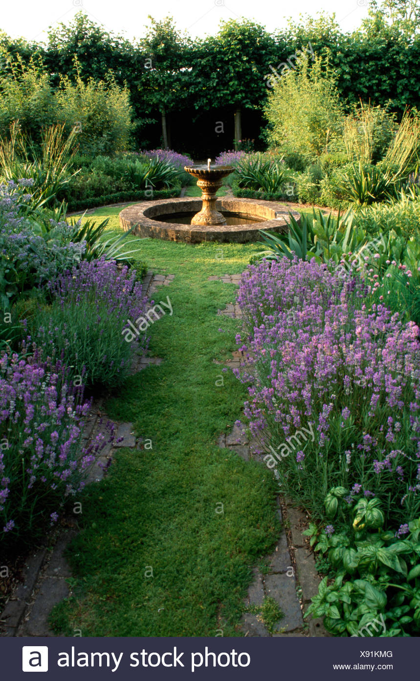 Lavender Borders High Resolution Stock Photography and Images - Alamy