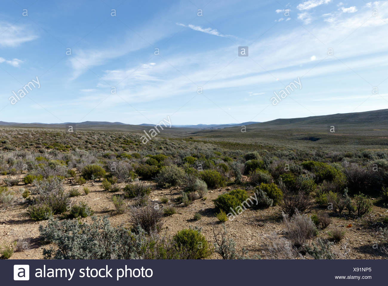 Tankwa Karoo National Park High Resolution Stock Photography and Images ...