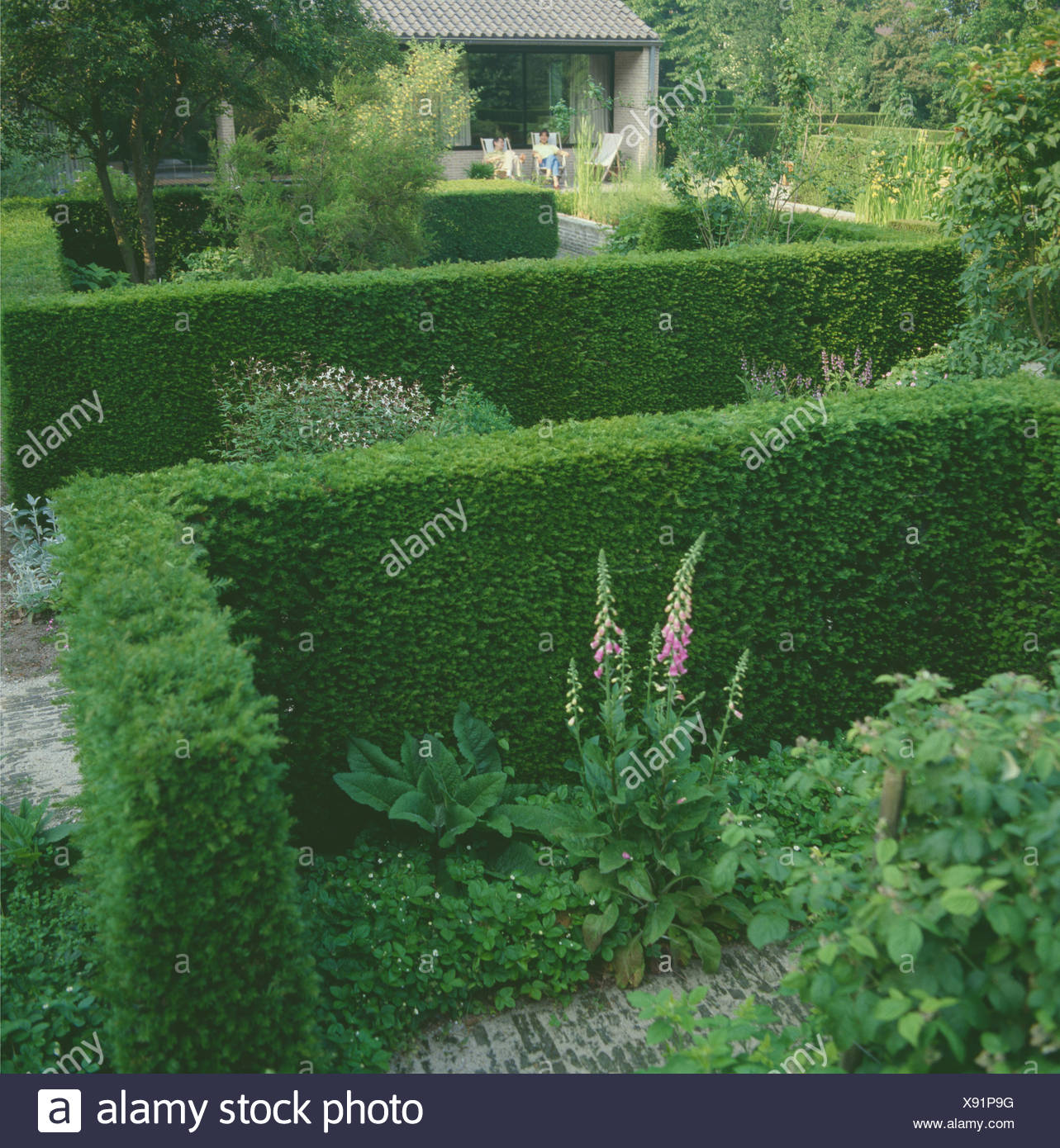 Clipped Hedge Formal Stock Photos & Clipped Hedge Formal Stock Images ...