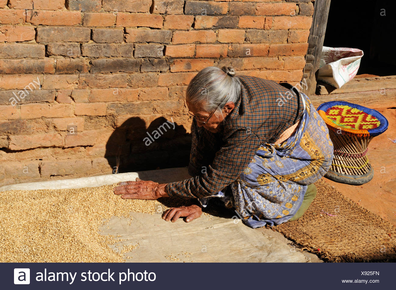 Chaff Wheat Stock Photos & Chaff Wheat Stock Images - Alamy