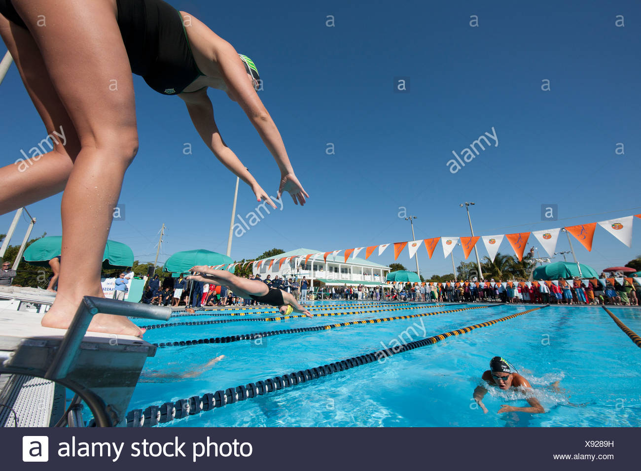 Diving Competition Girls Stock Photos & Diving Competition Girls Stock ...