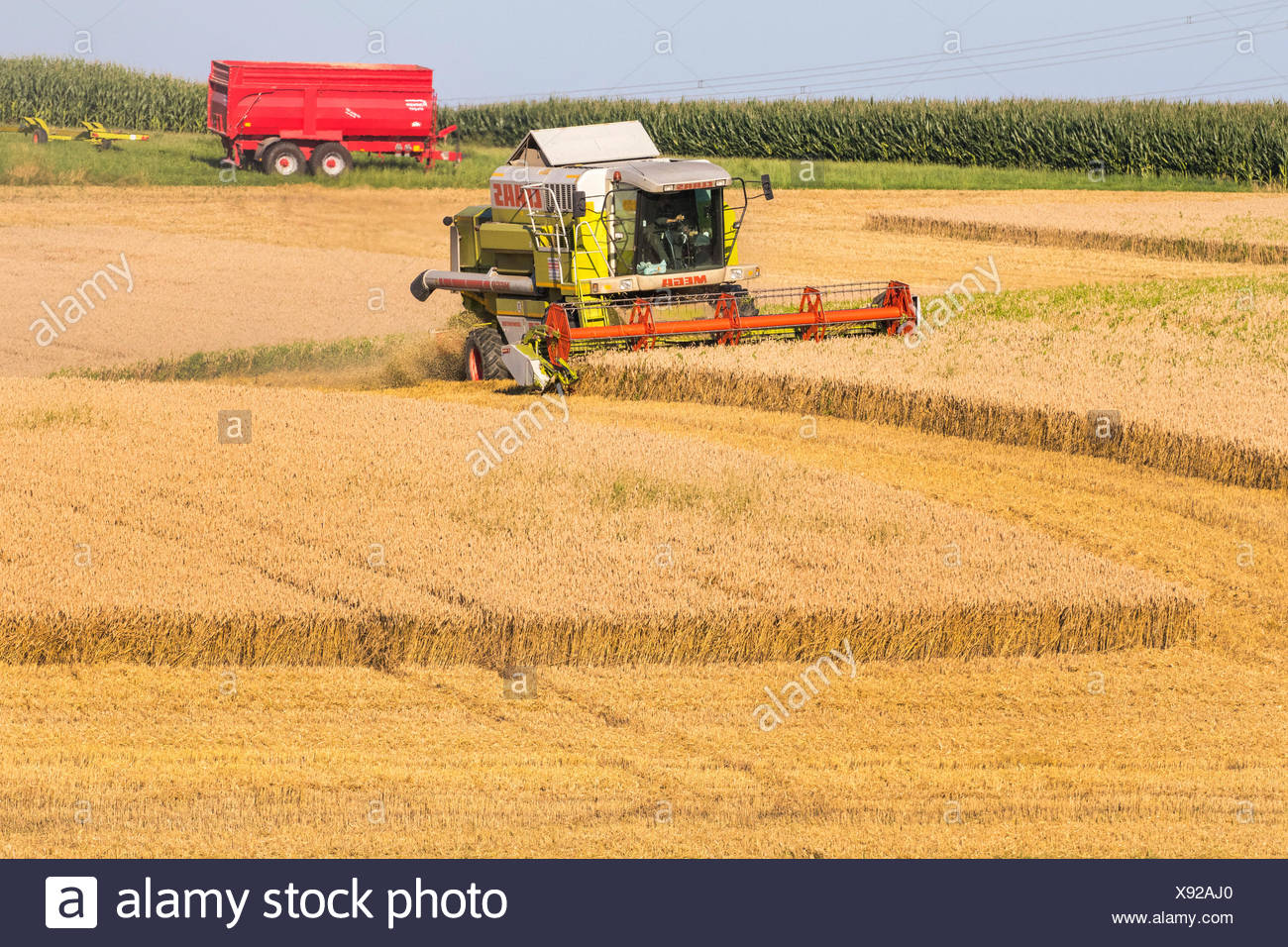 Weizenacker Stock Photos & Weizenacker Stock Images - Alamy