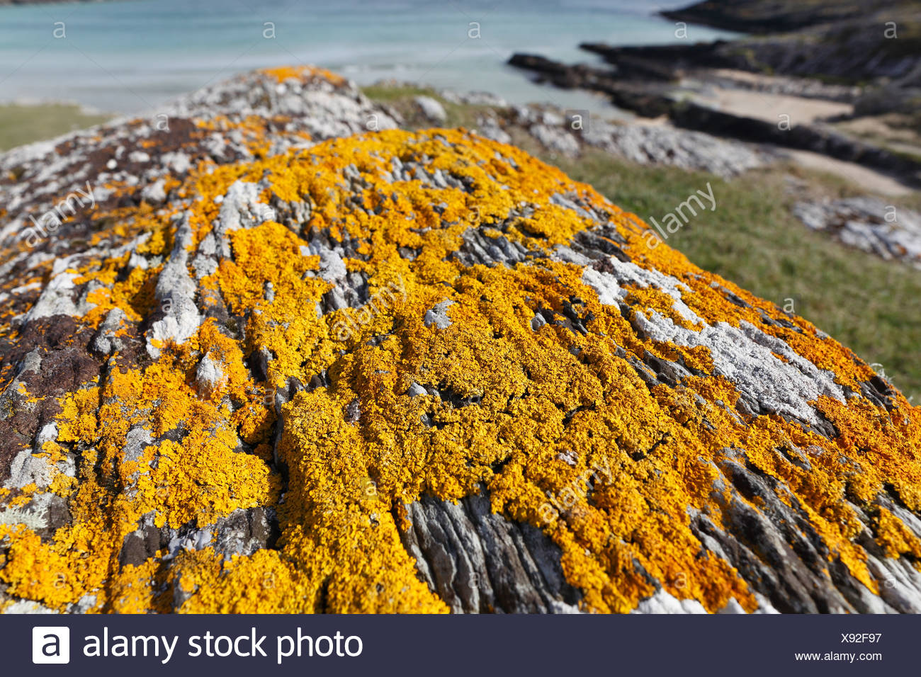 Lichen On Rock Rocks High Resolution Stock Photography and Images - Alamy