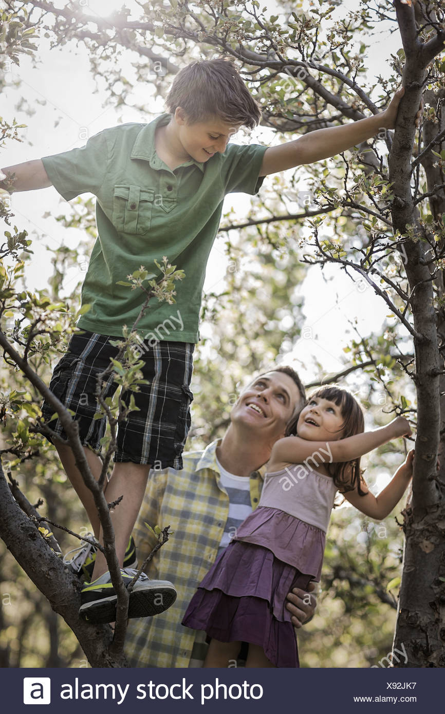 10 Trees High Resolution Stock Photography and Images - Alamy
