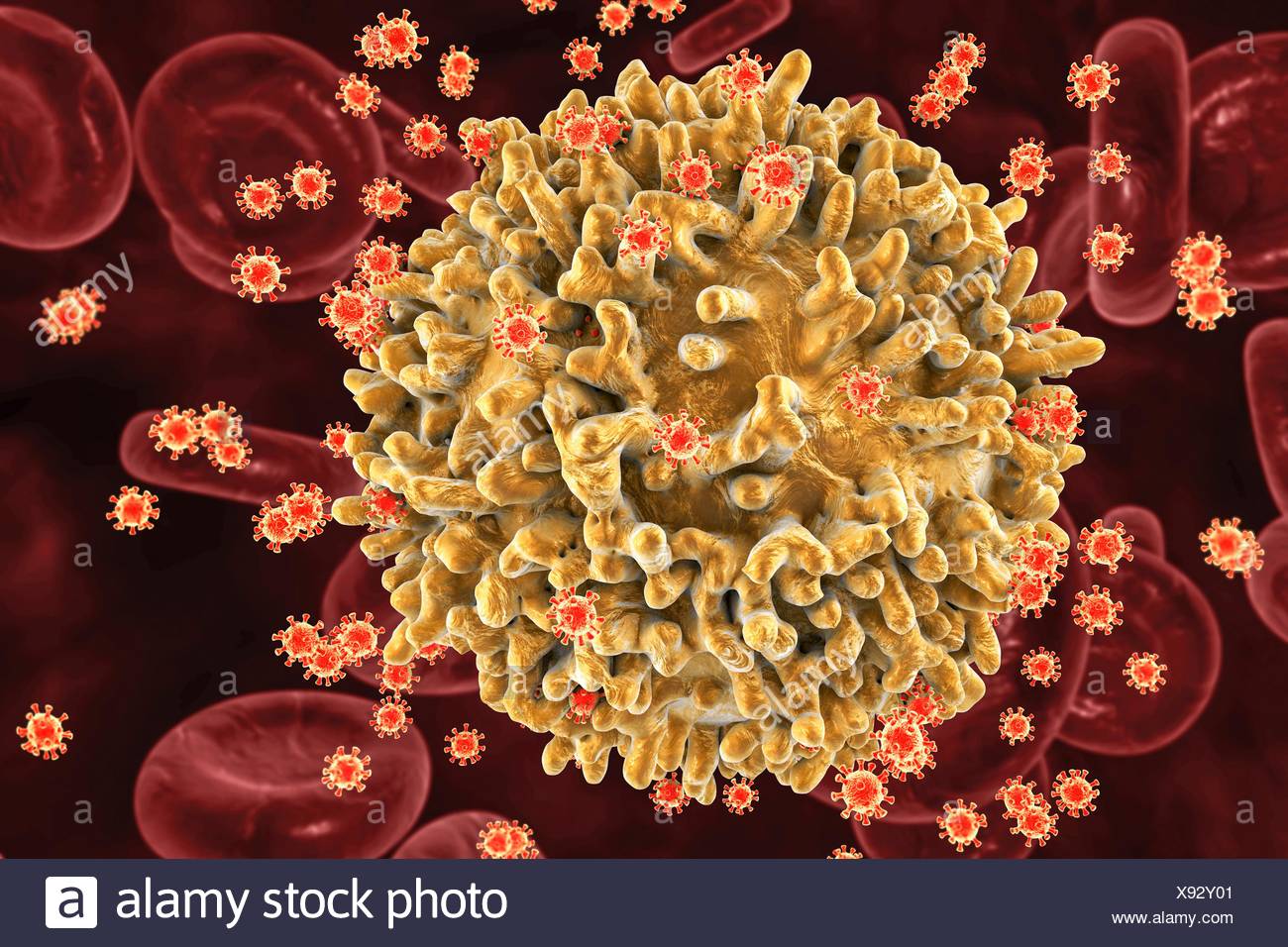 Virus Infecting Cell High Resolution Stock Photography and Images - Alamy