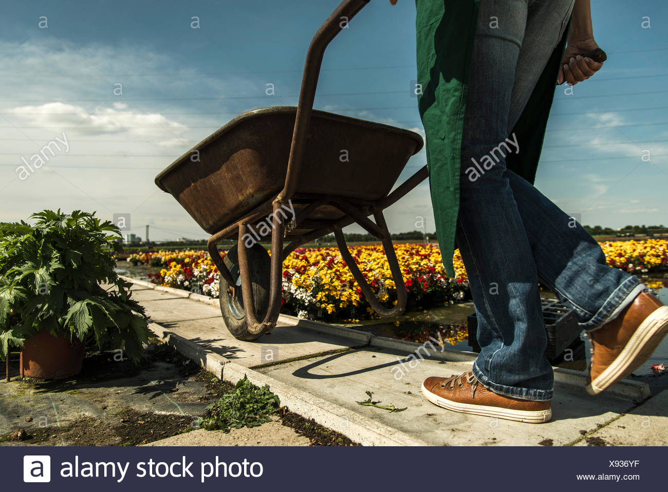 Woman Pushing A Wheelbarrow High Resolution Stock Photography and ...