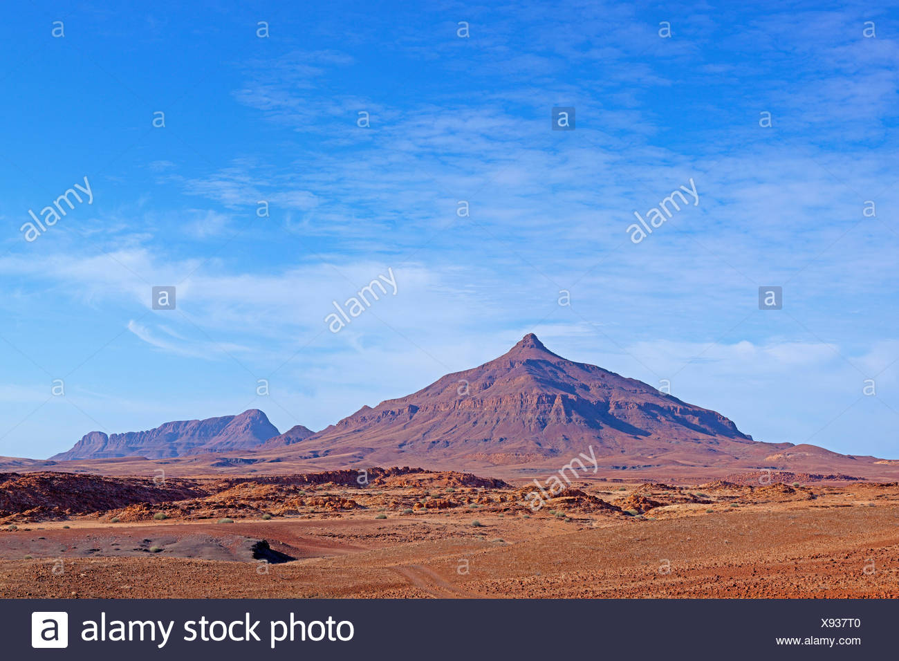 Old Abnormal High Resolution Stock Photography and Images - Alamy