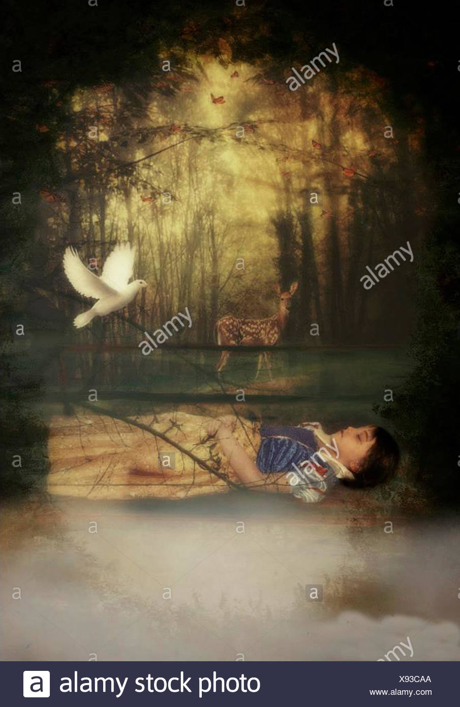 Person Sleeping Forest High Resolution Stock Photography and Images - Alamy