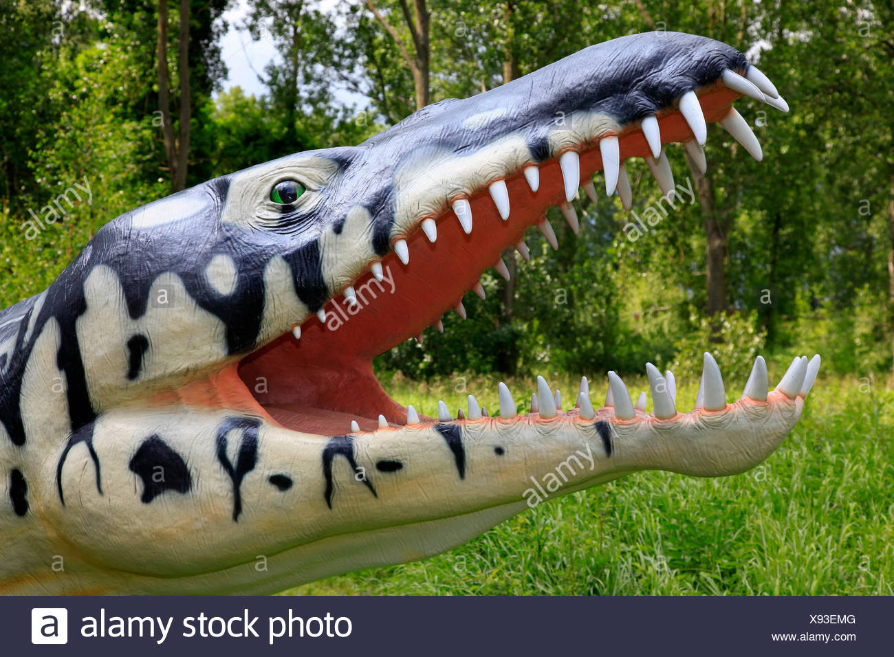 Liopleurodon Liopleurodon High Resolution Stock Photography and Images ...