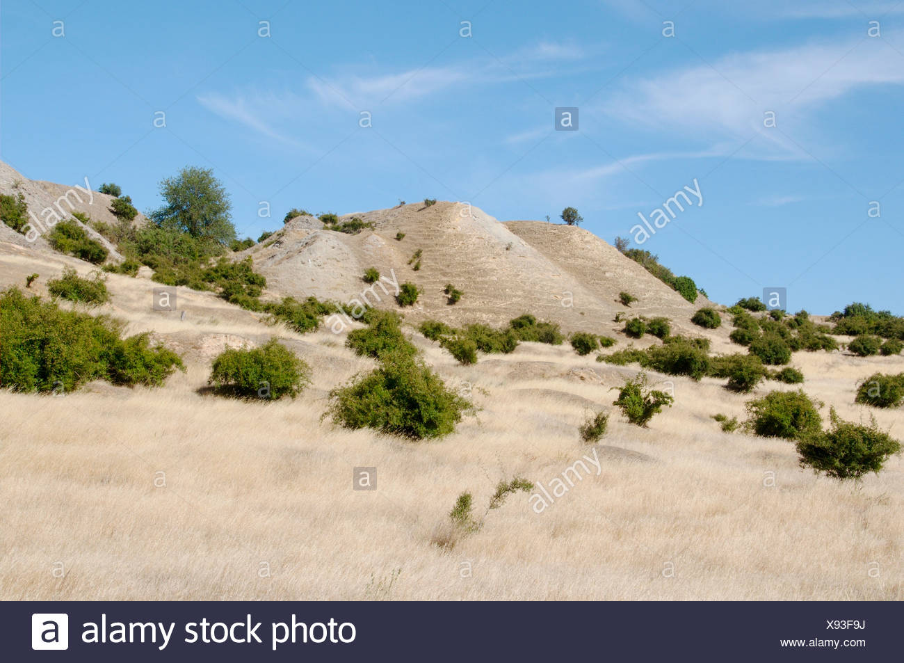 Clunes Australia High Resolution Stock Photography and Images - Alamy