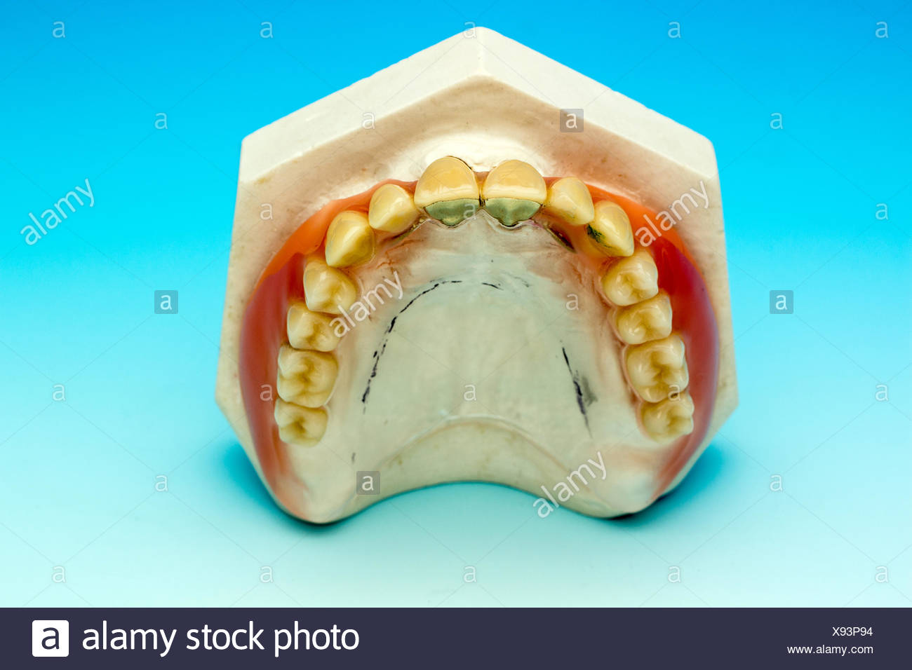 Denture Tablets High Resolution Stock Photography and Images - Alamy