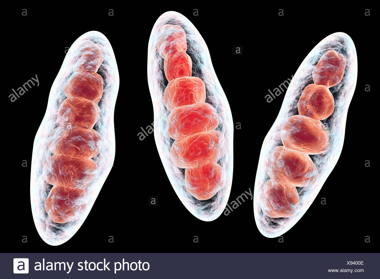 Athlete's Foot (tinea Pedis) High Resolution Stock Photography and ...