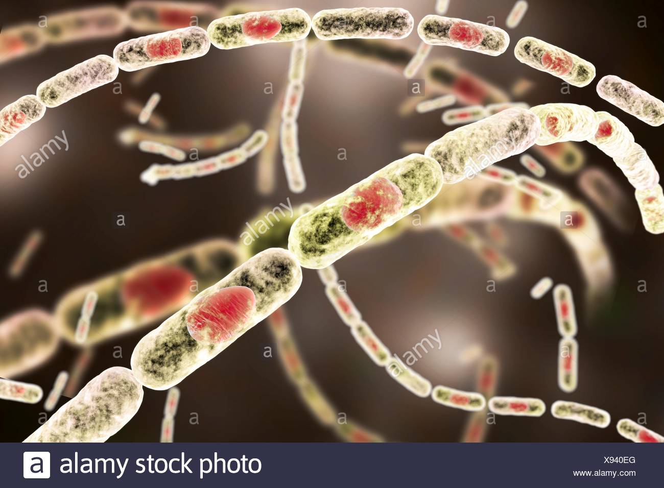 Disease Causing Micro Organisms High Resolution Stock Photography and ...
