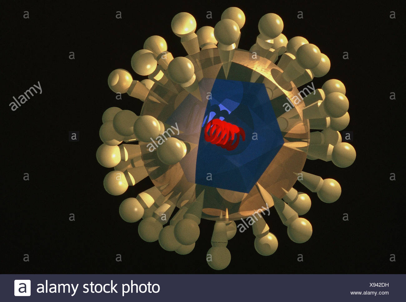 Hhv1 High Resolution Stock Photography and Images - Alamy