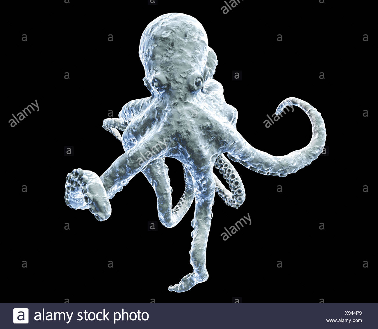 Octopus Computer High Resolution Stock Photography and Images - Alamy