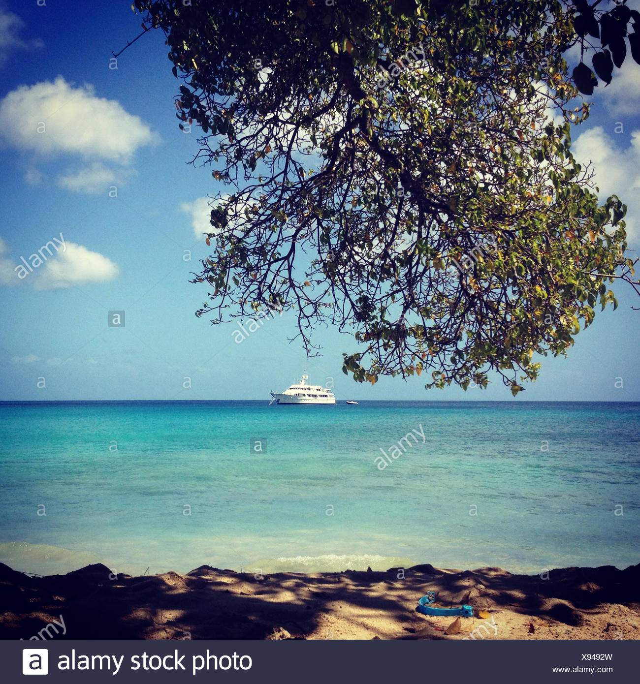 Beauty In Barbados High Resolution Stock Photography and Images - Alamy