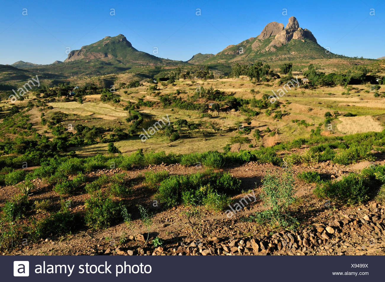 Adwa Mountains High Resolution Stock Photography and Images - Alamy