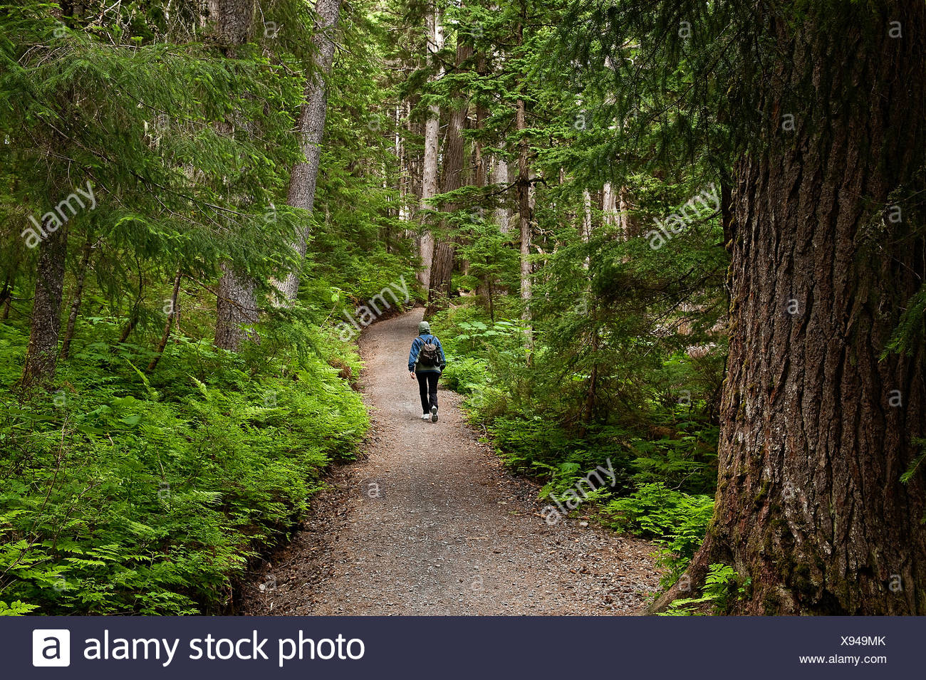 Hike Alaska High Resolution Stock Photography and Images - Alamy