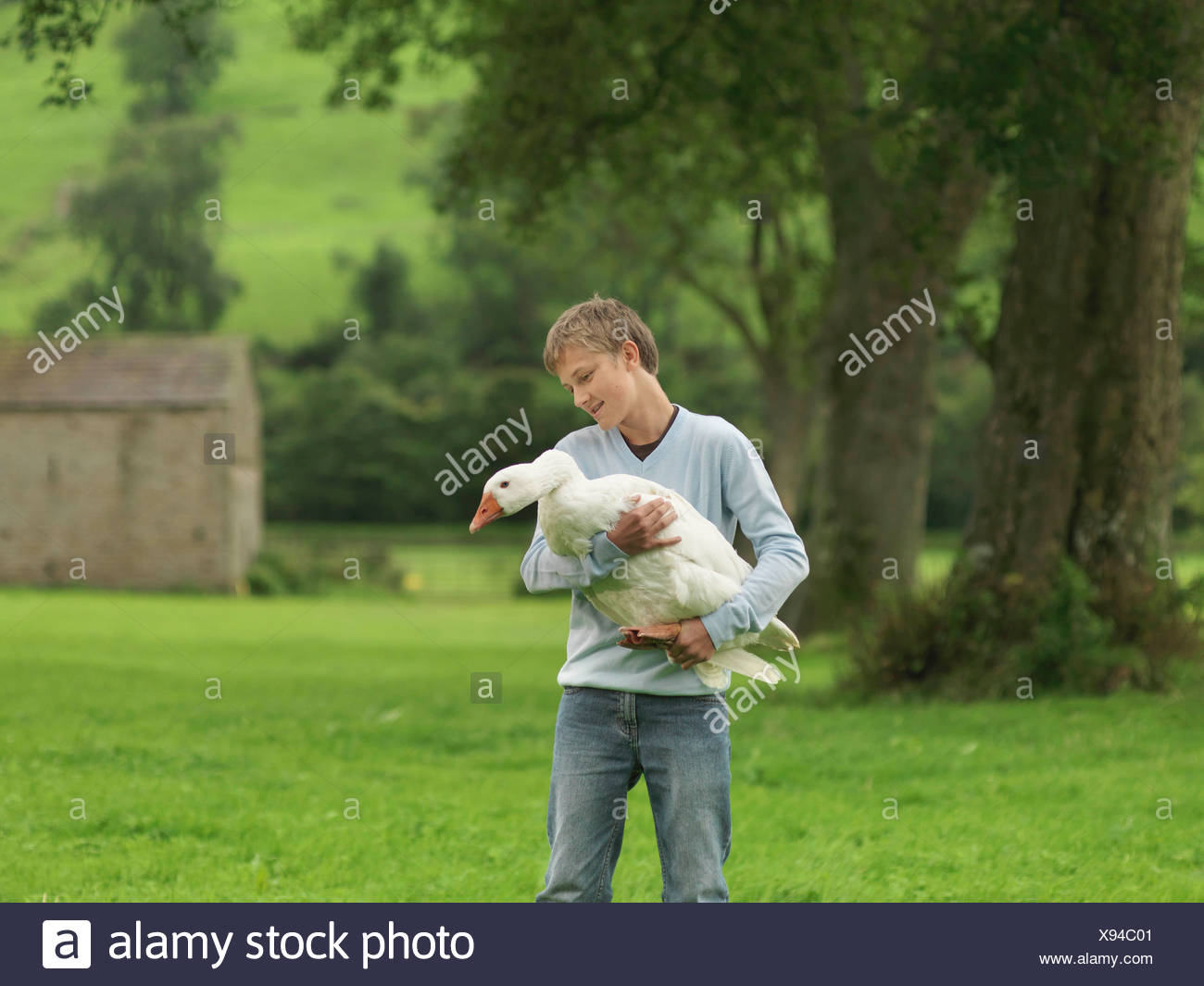 Happy Goose High Resolution Stock Photography and Images - Alamy