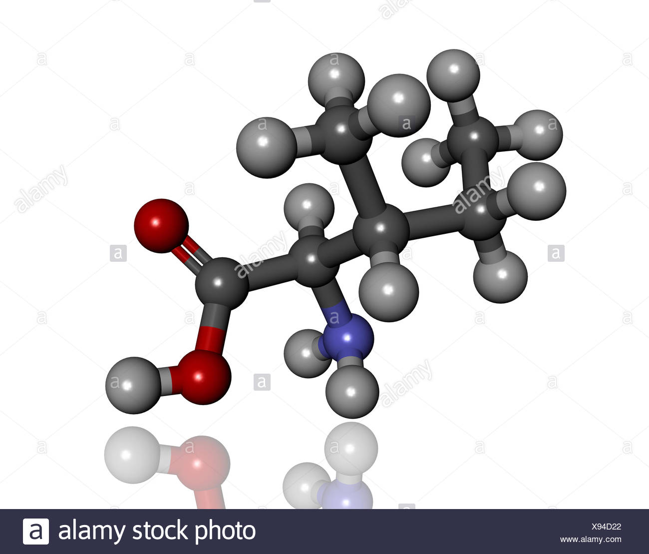 Isoleucine Stock Photos & Isoleucine Stock Images - Alamy