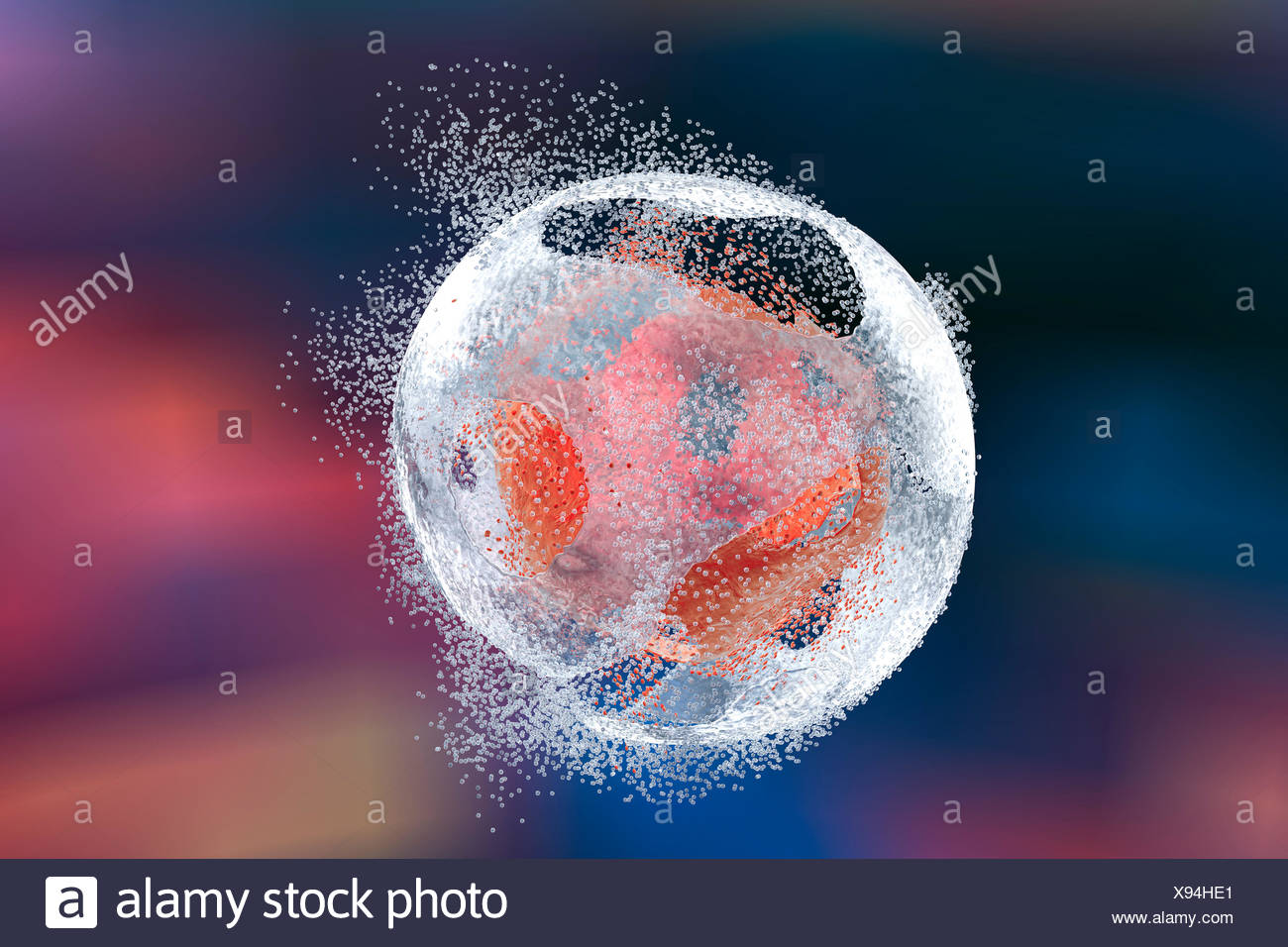 Destruction Of A Human Cell High Resolution Stock Photography and ...