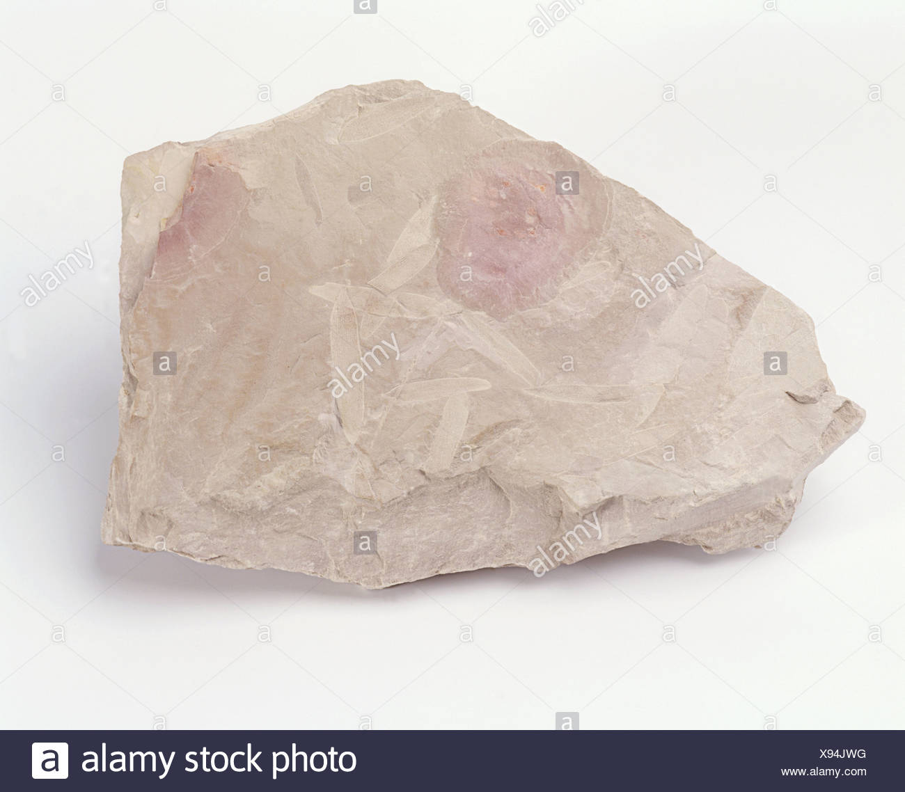 Sandstone Sedimentary Rock High Resolution Stock Photography and Images ...