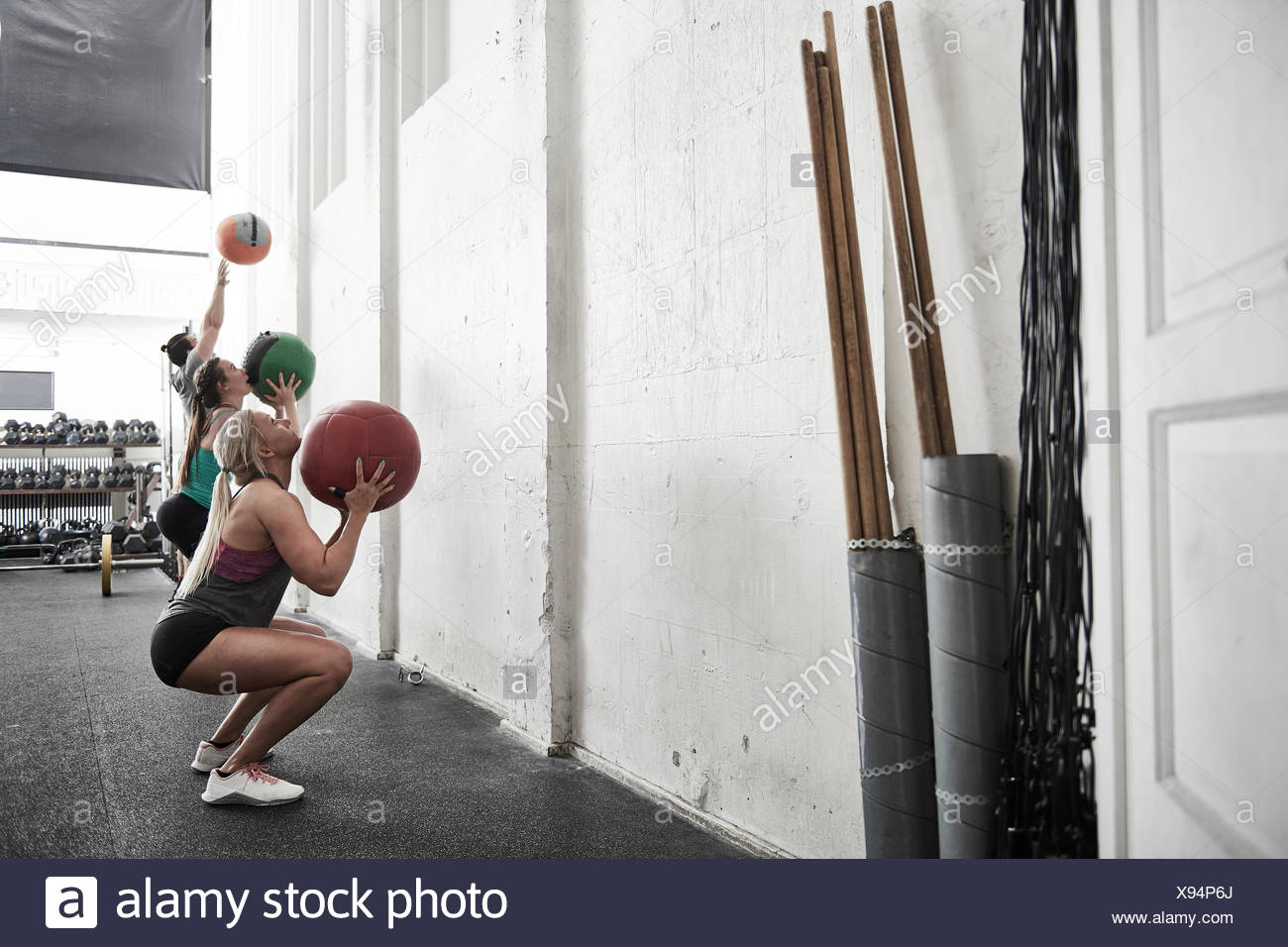Ball Throwing Stick Stock Photos & Ball Throwing Stick Stock Images - Alamy