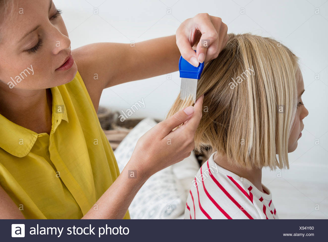 Head Lice Child High Resolution Stock Photography and Images - Alamy