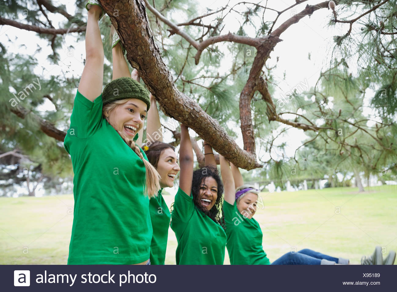 Hanging Tree Stock Photos & Hanging Tree Stock Images - Alamy
