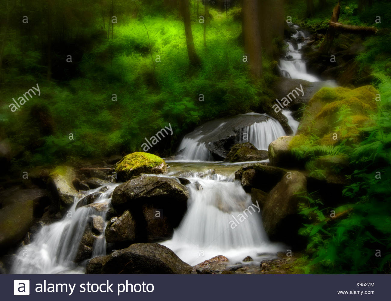 Märchenwald High Resolution Stock Photography and Images - Alamy